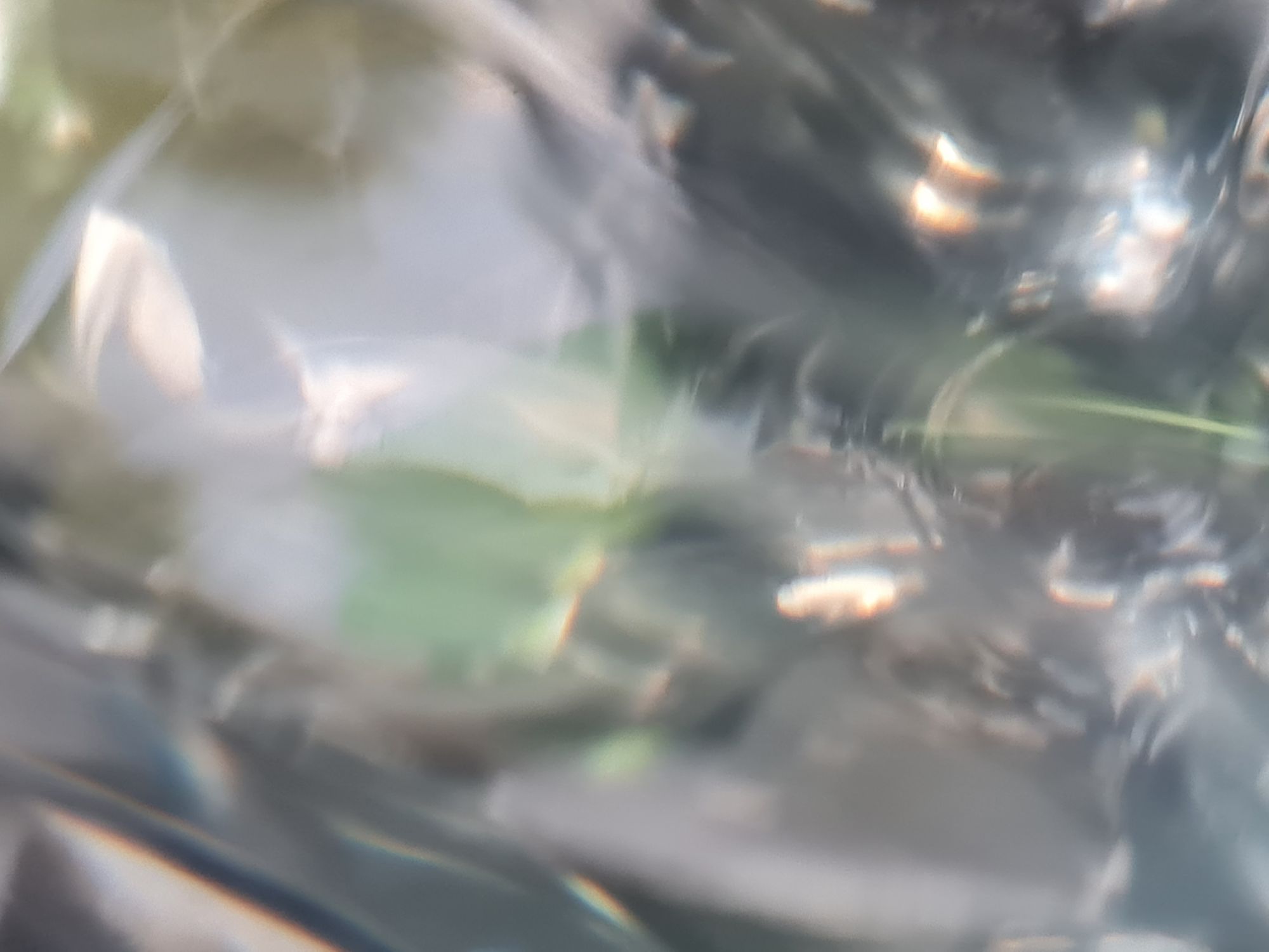 Online Mindful Reflection and Connection